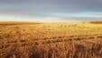 Reck Agri | Farm & Ranch Land for Sale | Colorado and Nebraska