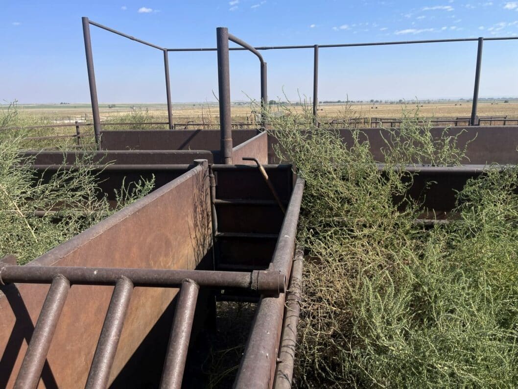 Sterling Farm & Feedlot Auction - Reck Agri